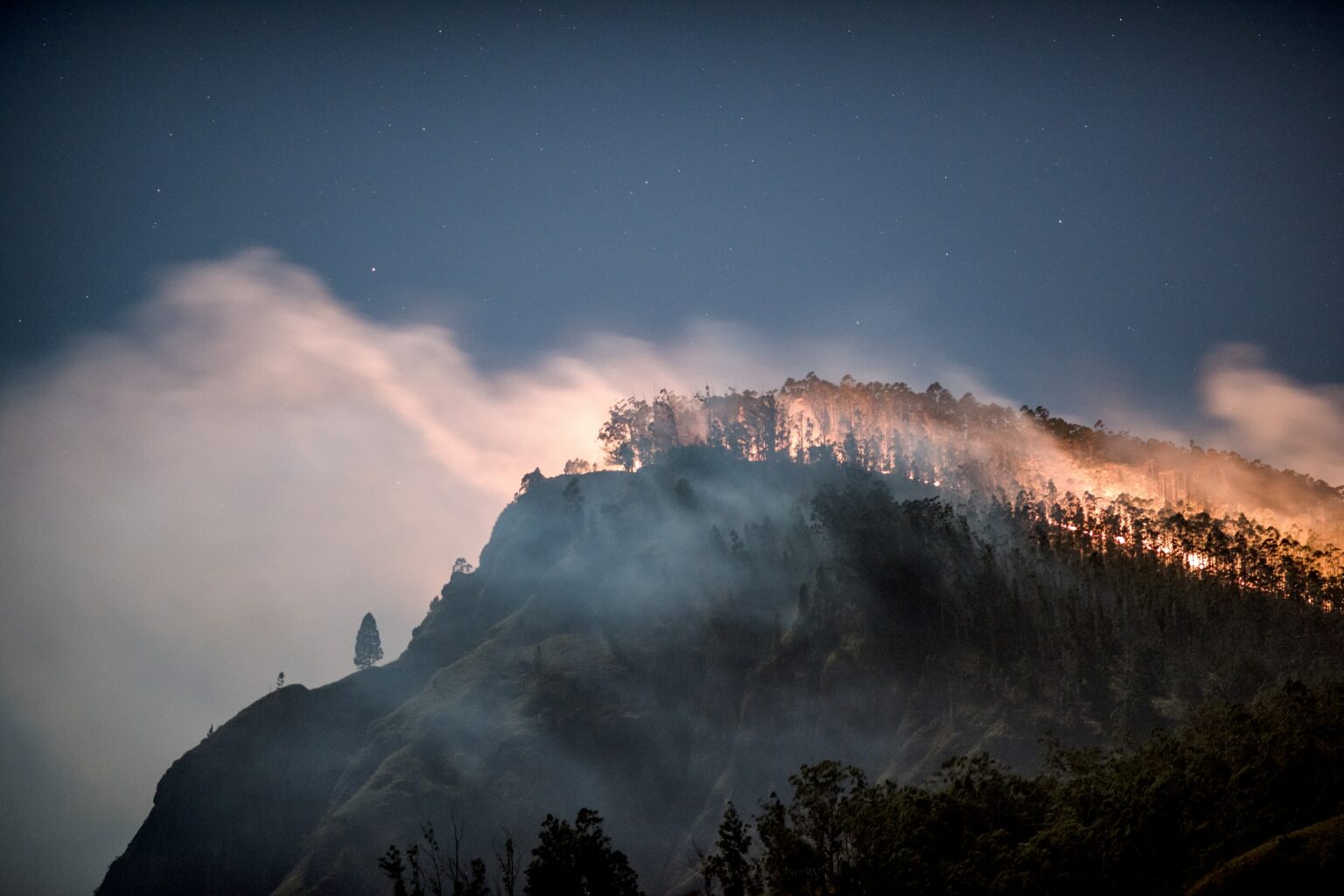 SeasFire – Earth System Deep Learning for Seasonal Fire Forecasting in ...